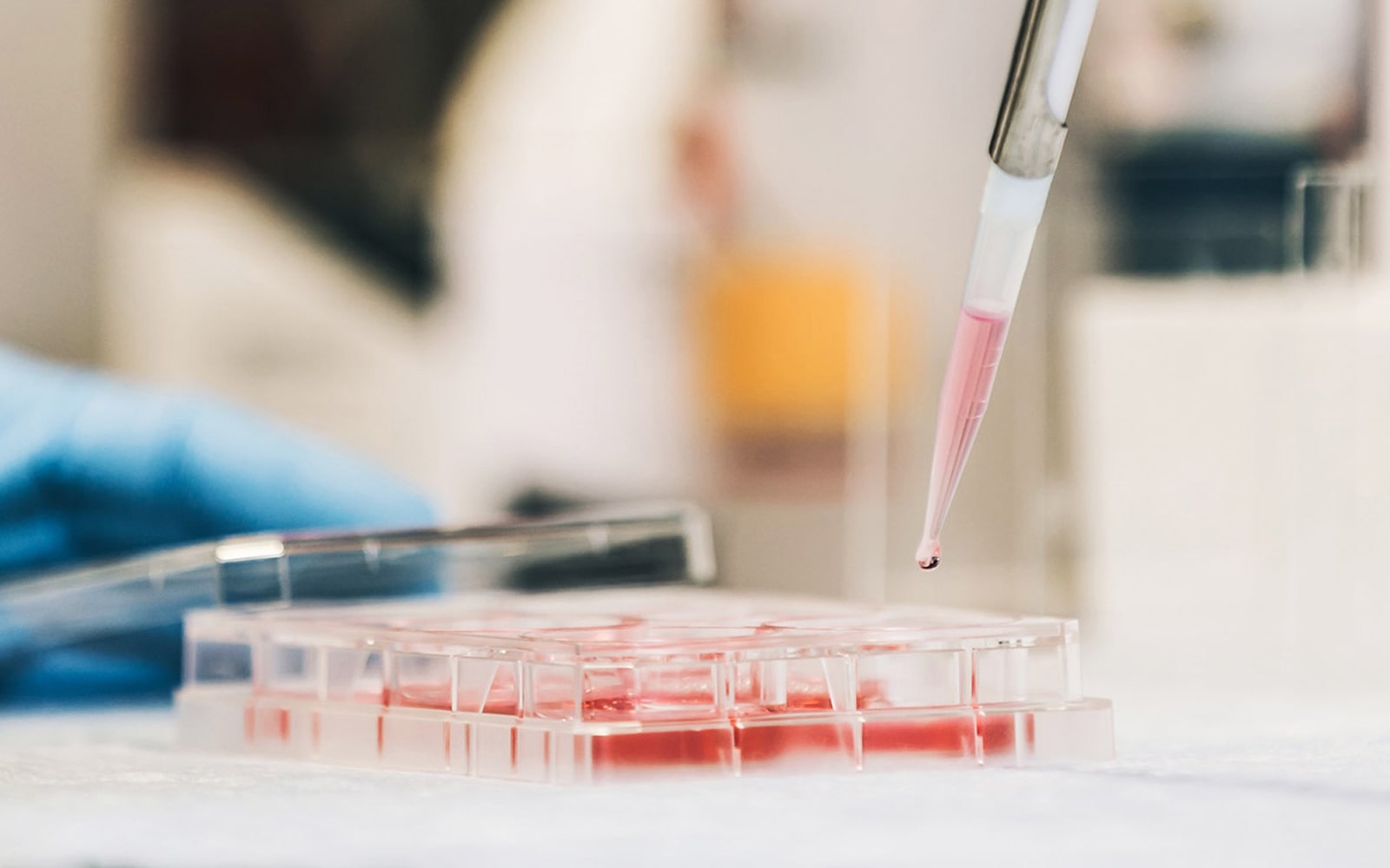 RSF Supports CRUK and the TRACERx Research Project - Ruth Strauss ...