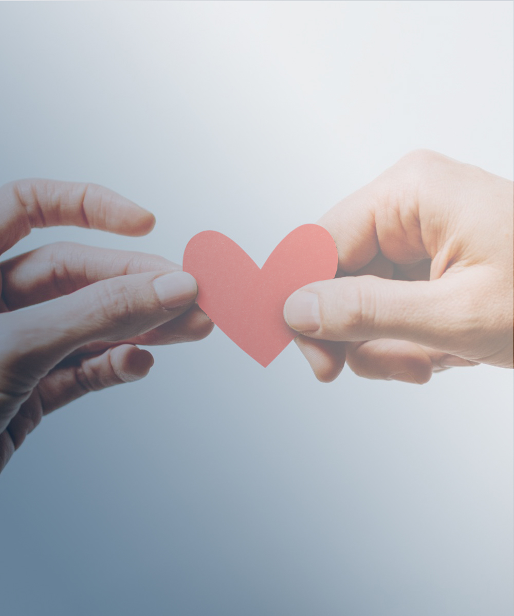 Find out how you can support the Ruth Strauss Foundation